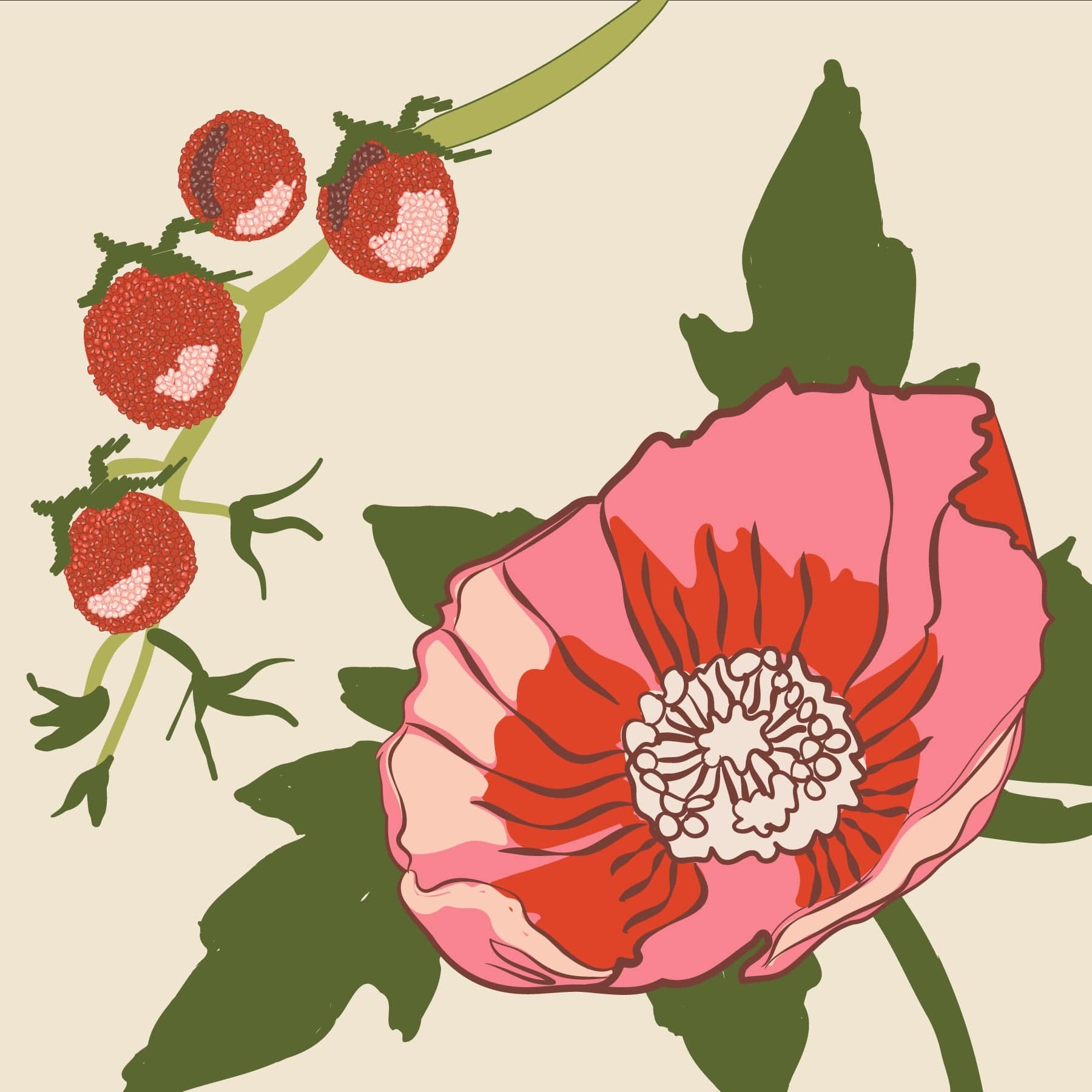 Blake Crossbody - Leather | Vera Bradley